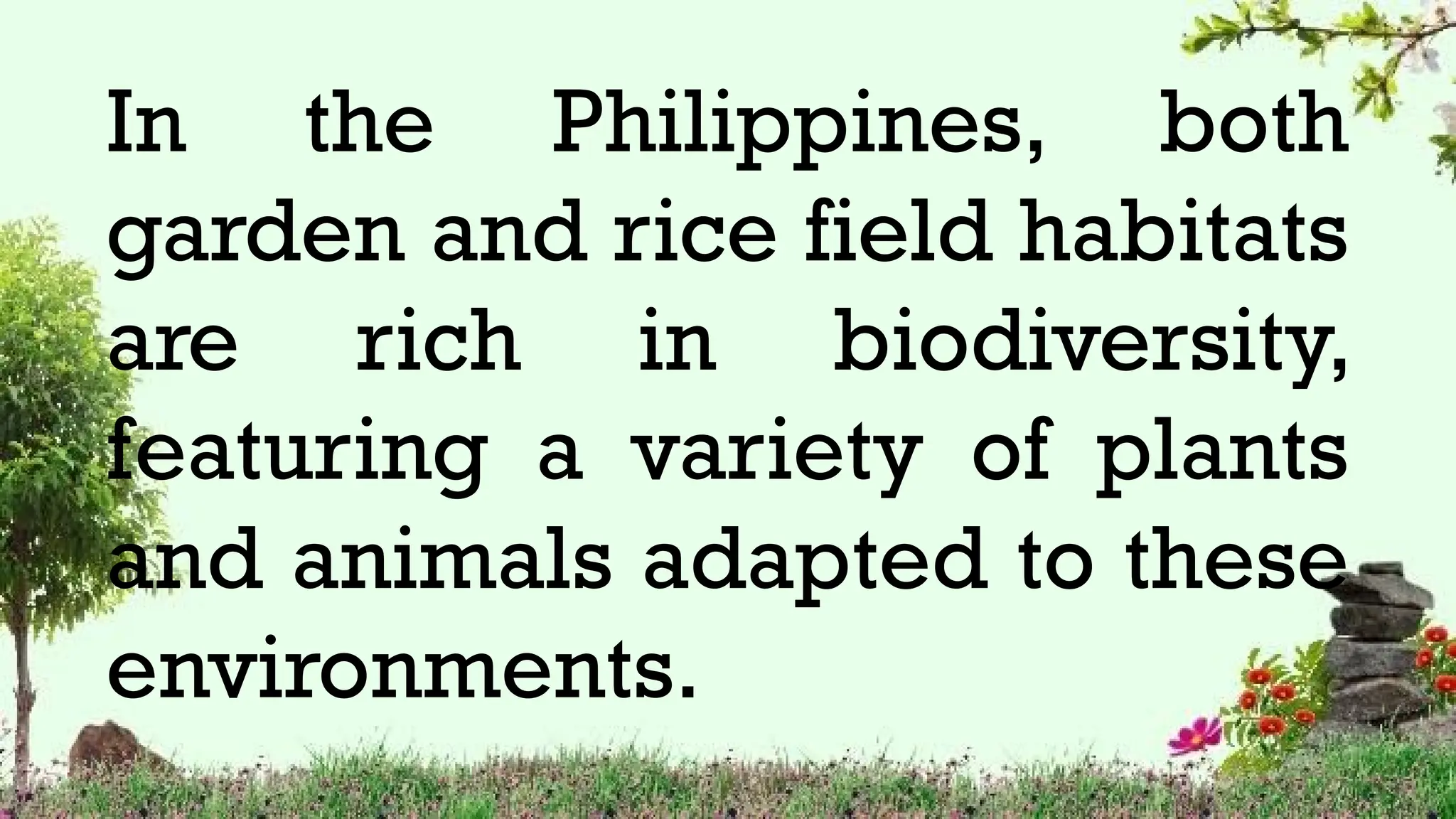 SCIENCE 4 Q2W5 PPT.pptx Lesson About Plnts and animals and their ...