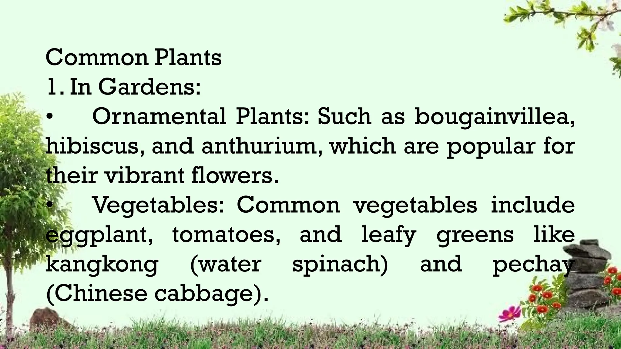 SCIENCE 4 Q2W5 PPT.pptx Lesson About Plnts and animals and their ...