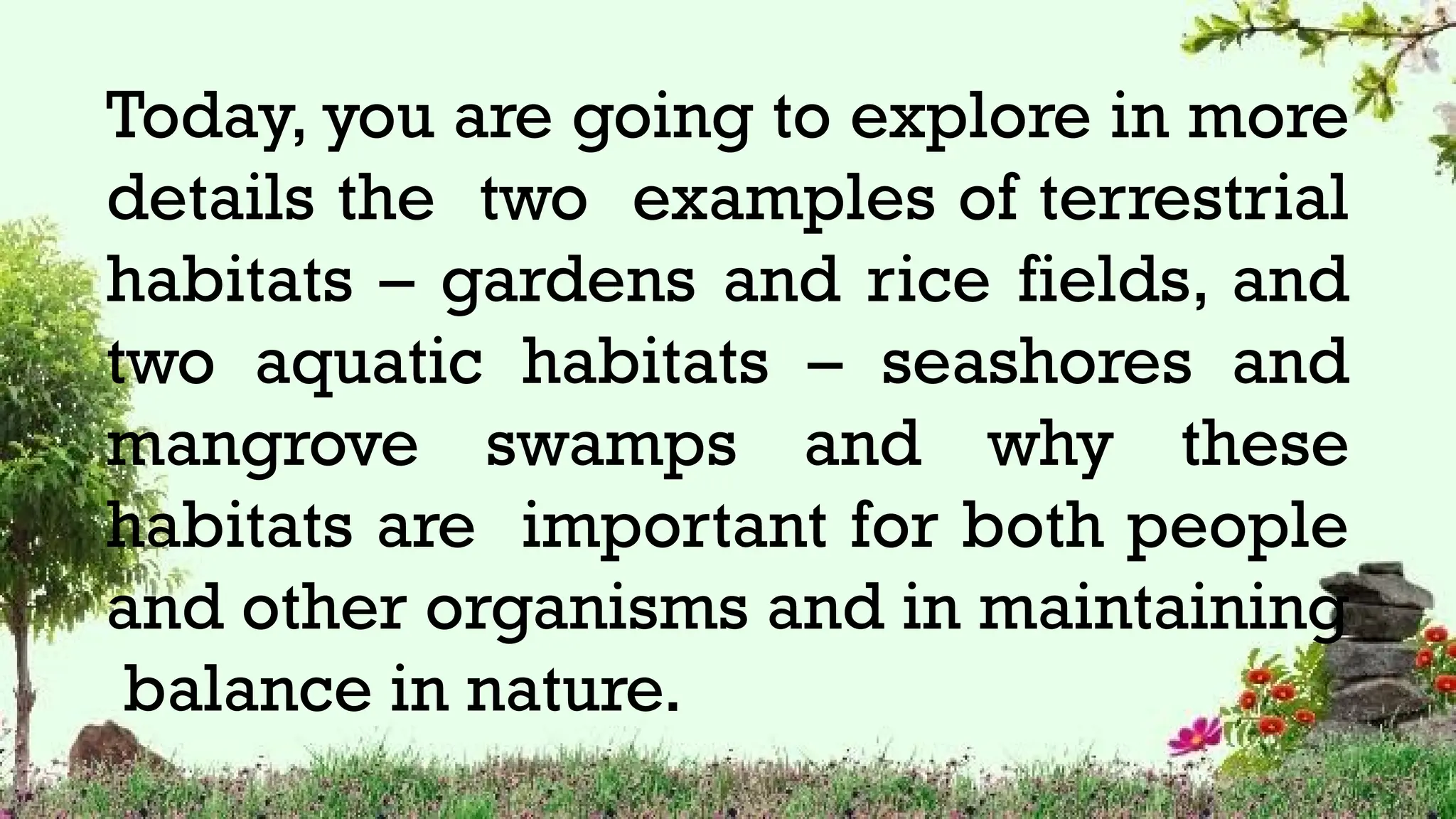 SCIENCE 4 Q2W5 PPT.pptx Lesson About Plnts and animals and their ...