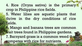 SCIENCE 4 Q2W5 PPT.pptx Lesson About Plnts and animals and their ...