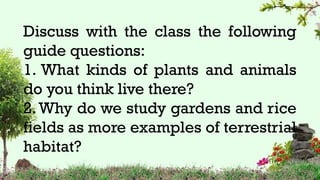 SCIENCE 4 Q2W5 PPT.pptx Lesson About Plnts and animals and their ...