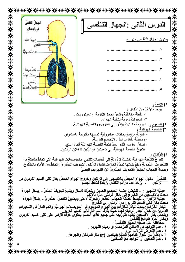 Science 4th primary-2nd-term-4 | PDF