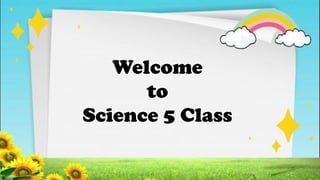 Science 5 PPT/Slide - Weather Disturbances | PPTX