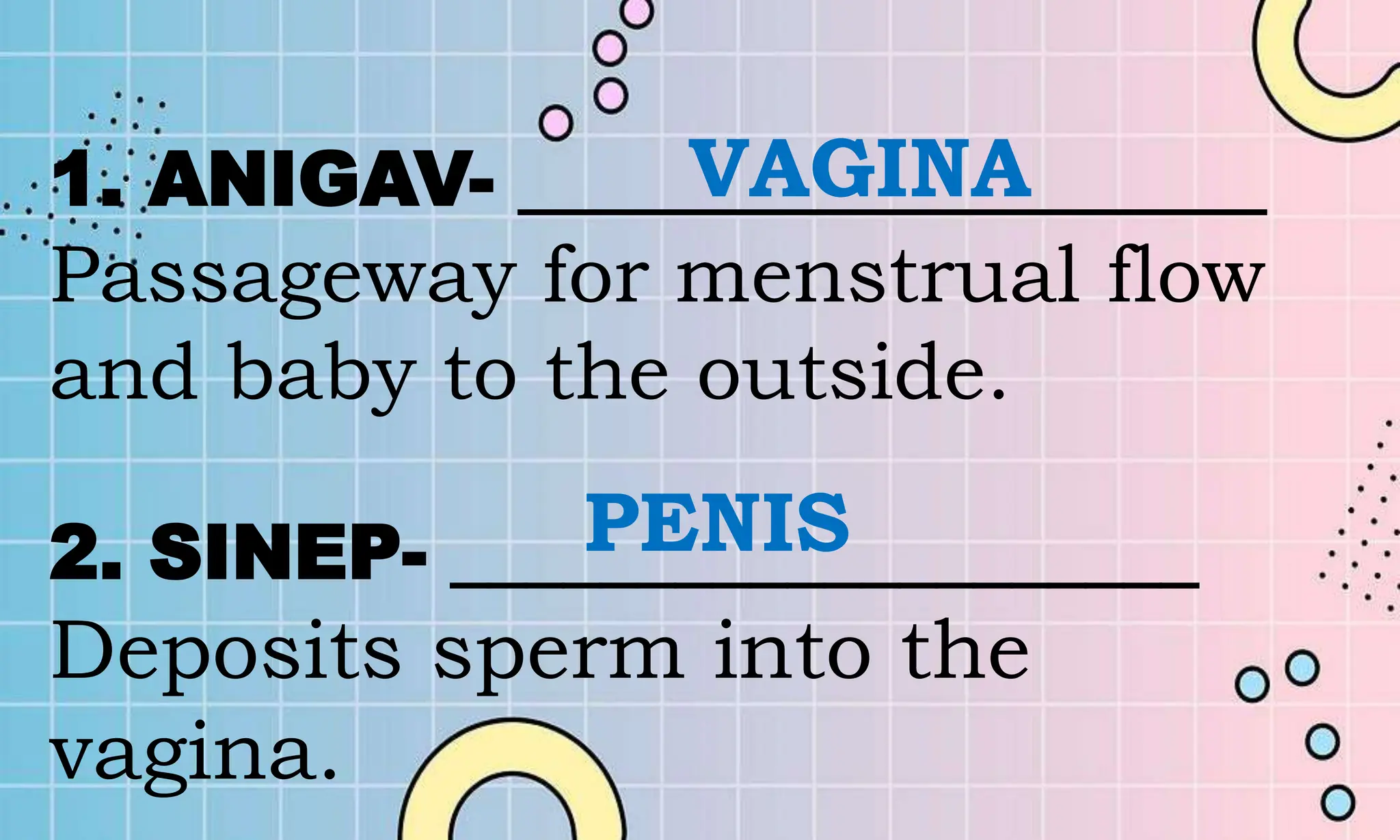 SCIENCE 5-Human Reproductive System.pptx