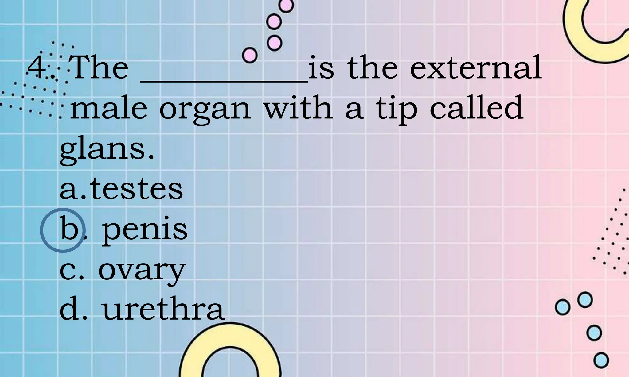SCIENCE 5-Human Reproductive System.pptx