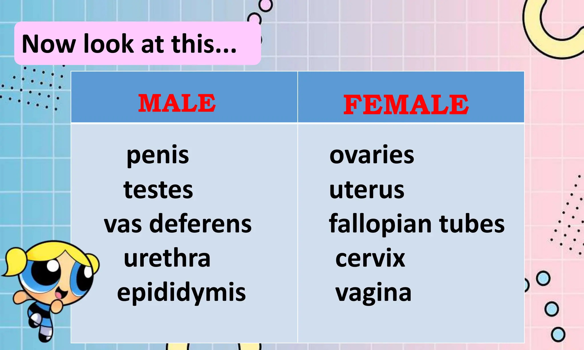 SCIENCE 5-Human Reproductive System.pptx