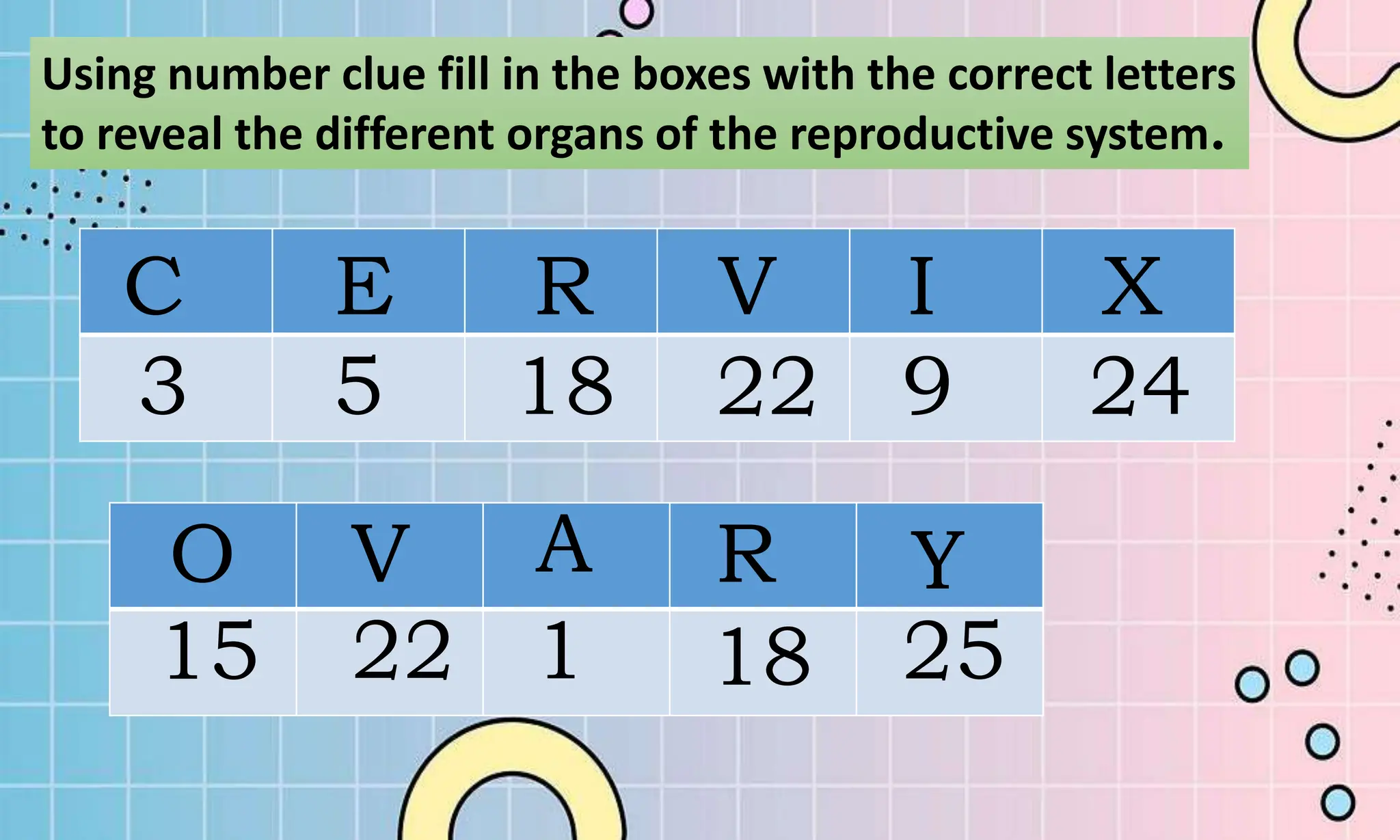 SCIENCE 5-Human Reproductive System.pptx