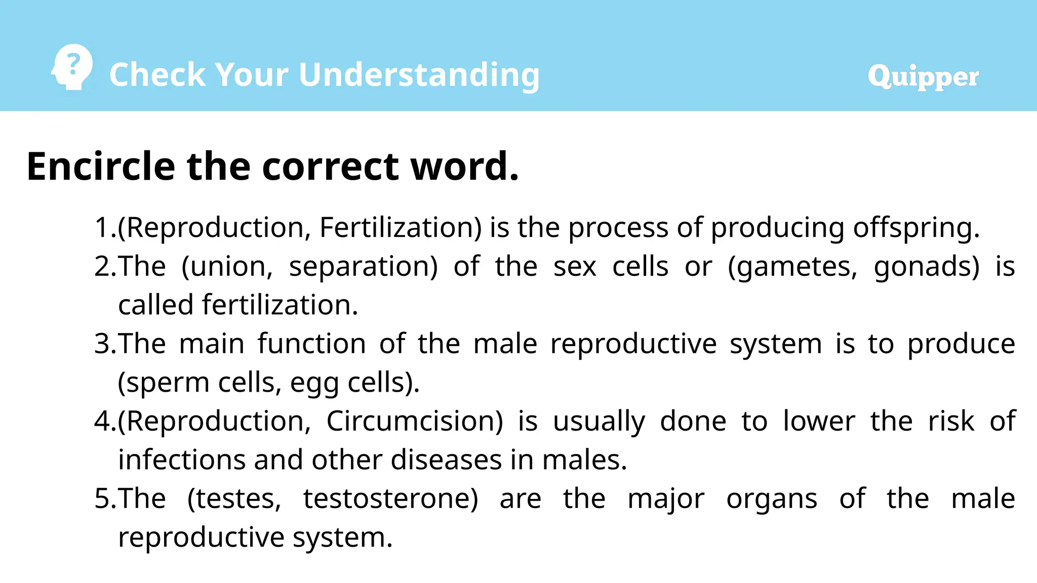 Science 5 4.1 The Male Reproductive System.pptx