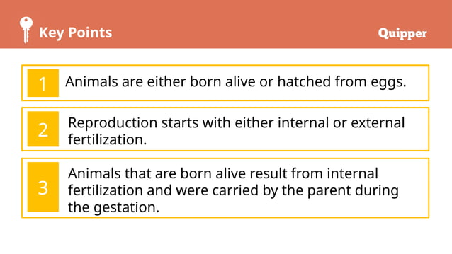 Science 5 5.1 Animals That Are Born Alive.pptx | Pregnancy ...