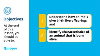Science 5 5.1 Animals That Are Born Alive.pptx