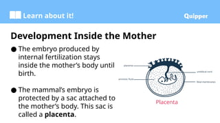 Science 5 5.1 Animals That Are Born Alive.pptx | Pregnancy ...