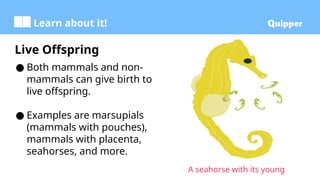 Science 5 5.1 Animals That Are Born Alive.pptx | Pregnancy ...