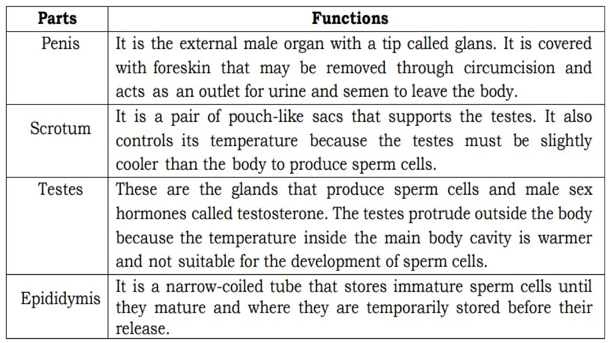 science grade 5 the human reproductive system.pptx