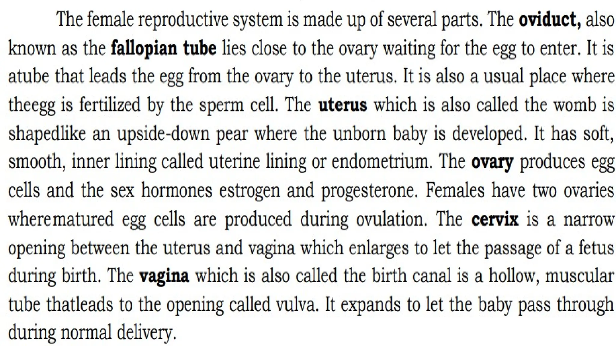 science grade 5 the human reproductive system.pptx