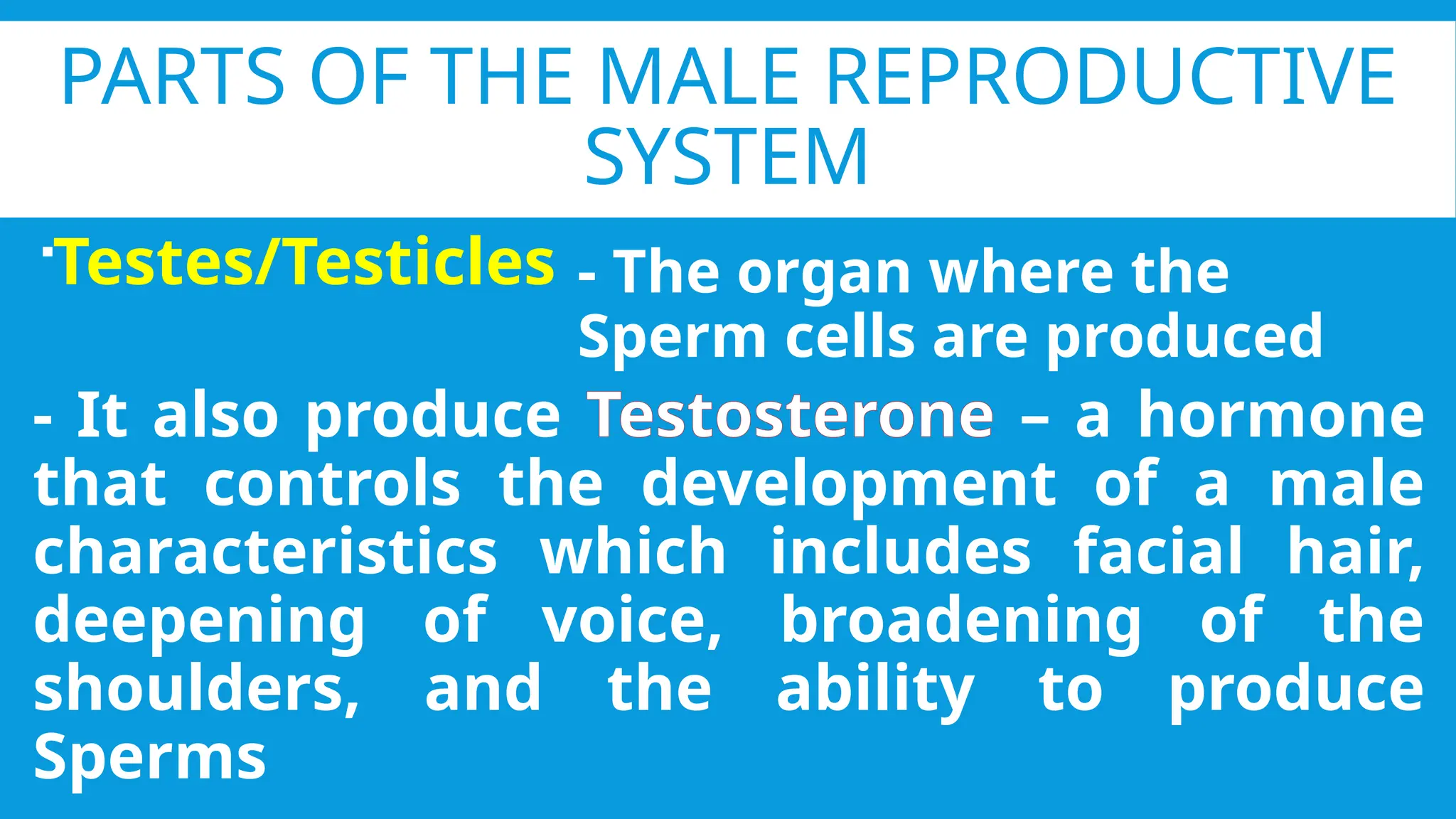 science grade 5 the human reproductive system.pptx