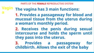 science grade 5 the human reproductive system.pptx
