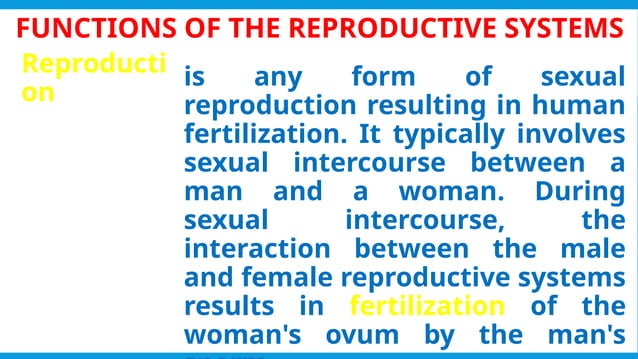 science grade 5 the human reproductive system.pptx
