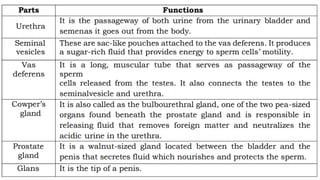 science grade 5 the human reproductive system.pptx