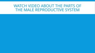 science grade 5 the human reproductive system.pptx