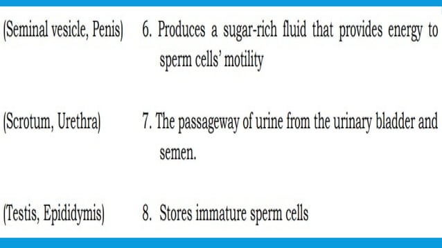 science grade 5 the human reproductive system.pptx