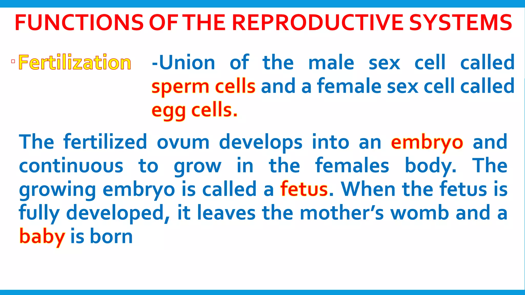 SCIENCE 5 Human Reproductive System.pptx