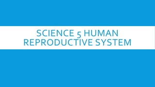 SCIENCE 5 Human Reproductive System.pptx