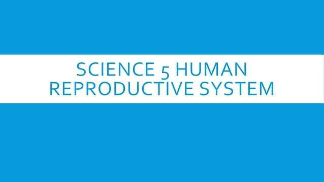 SCIENCE 5 Human Reproductive System.pptx | Infertility | Reproductive ...