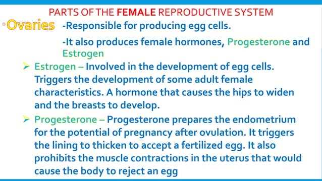 SCIENCE 5 Human Reproductive System.pptx | Infertility | Reproductive ...
