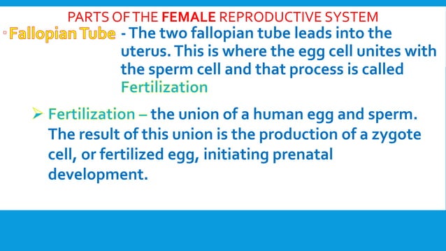 SCIENCE 5 Human Reproductive System.pptx | Infertility | Reproductive ...