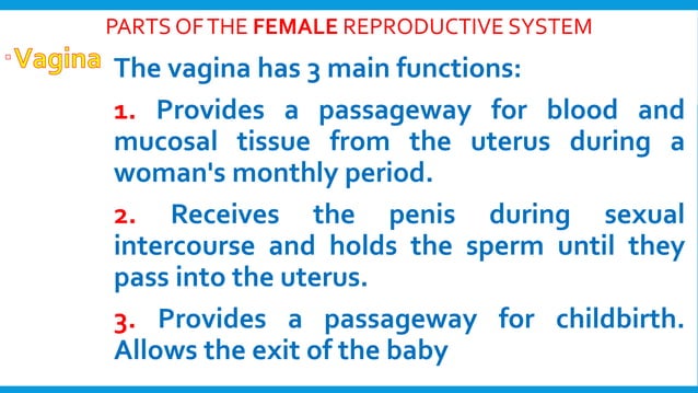 SCIENCE 5 Human Reproductive System.pptx | Infertility | Reproductive ...