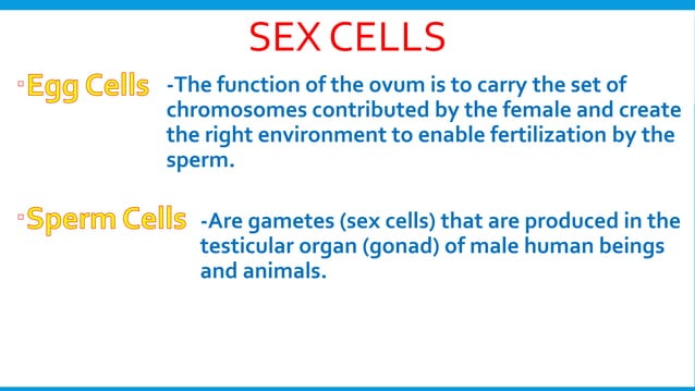 SCIENCE 5 Human Reproductive System.pptx | Infertility | Reproductive ...