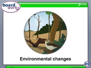 SCIENCE 5 PPT Q3 - Environmental Changes.ppt