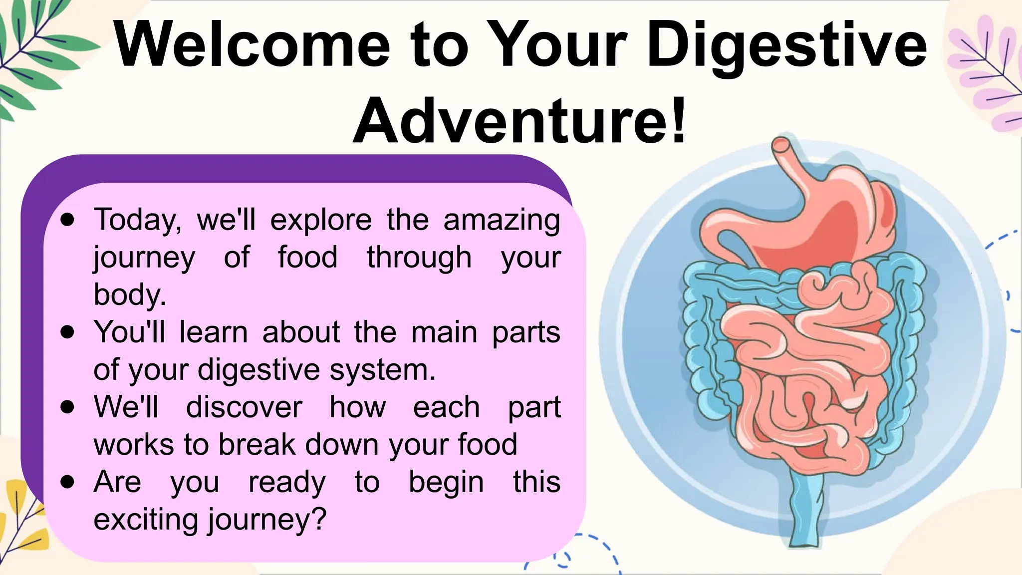 SCIENCE5 Q2 1A. identify from pictures and labeled diagrams the parts ...