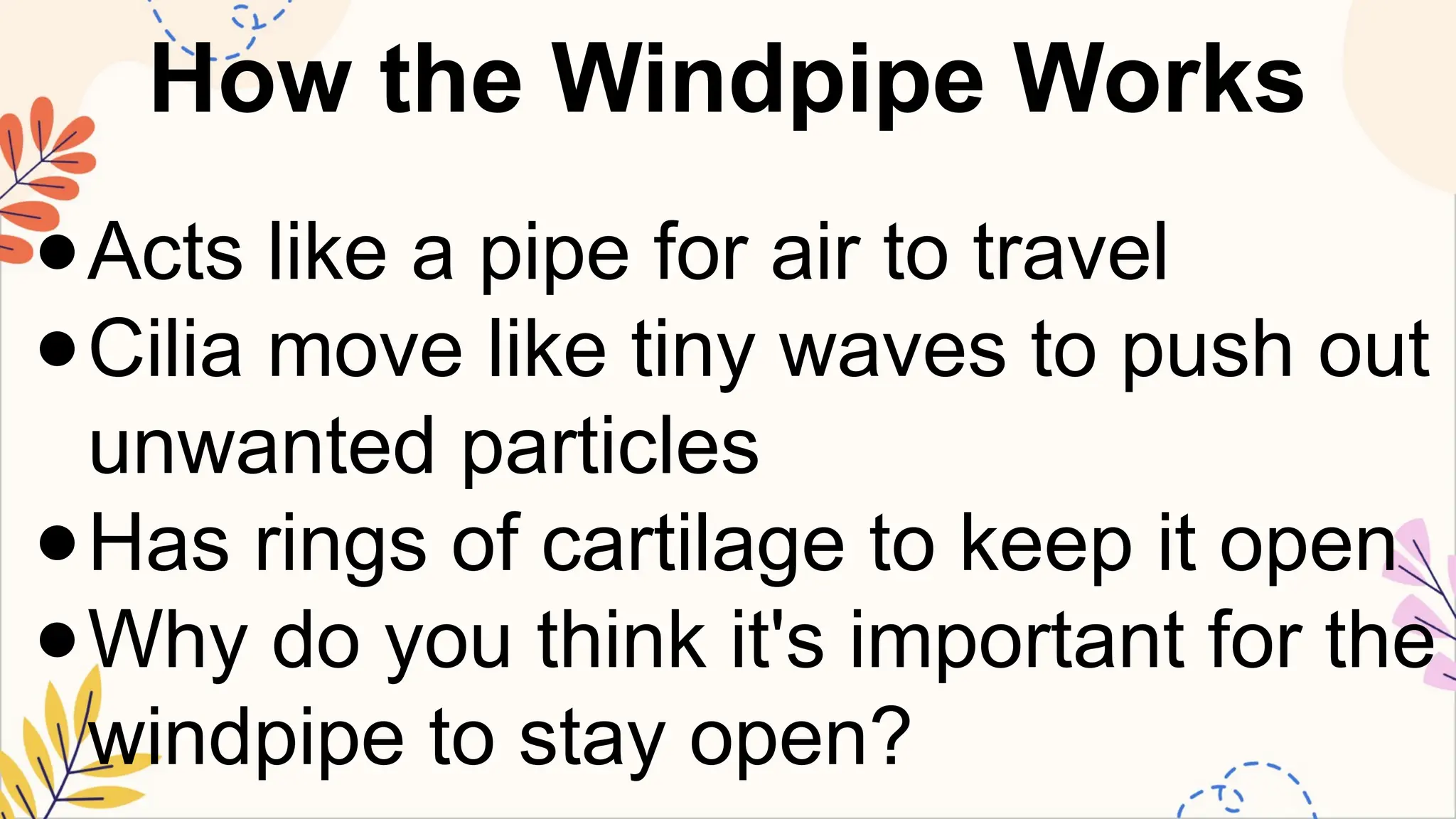 SCIENCE5 Q2 2. identify from pictures and diagrams the parts of the ...