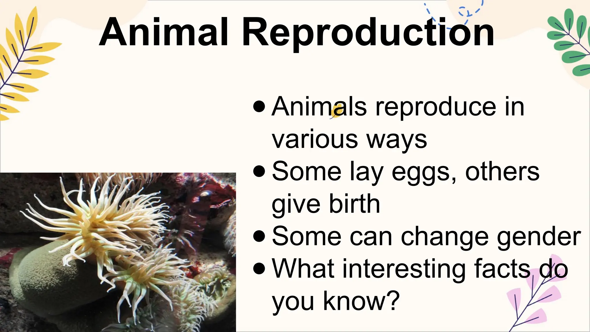 SCIENCE5 Q2 3 identify from pictures and labeled diagrams the parts of ...