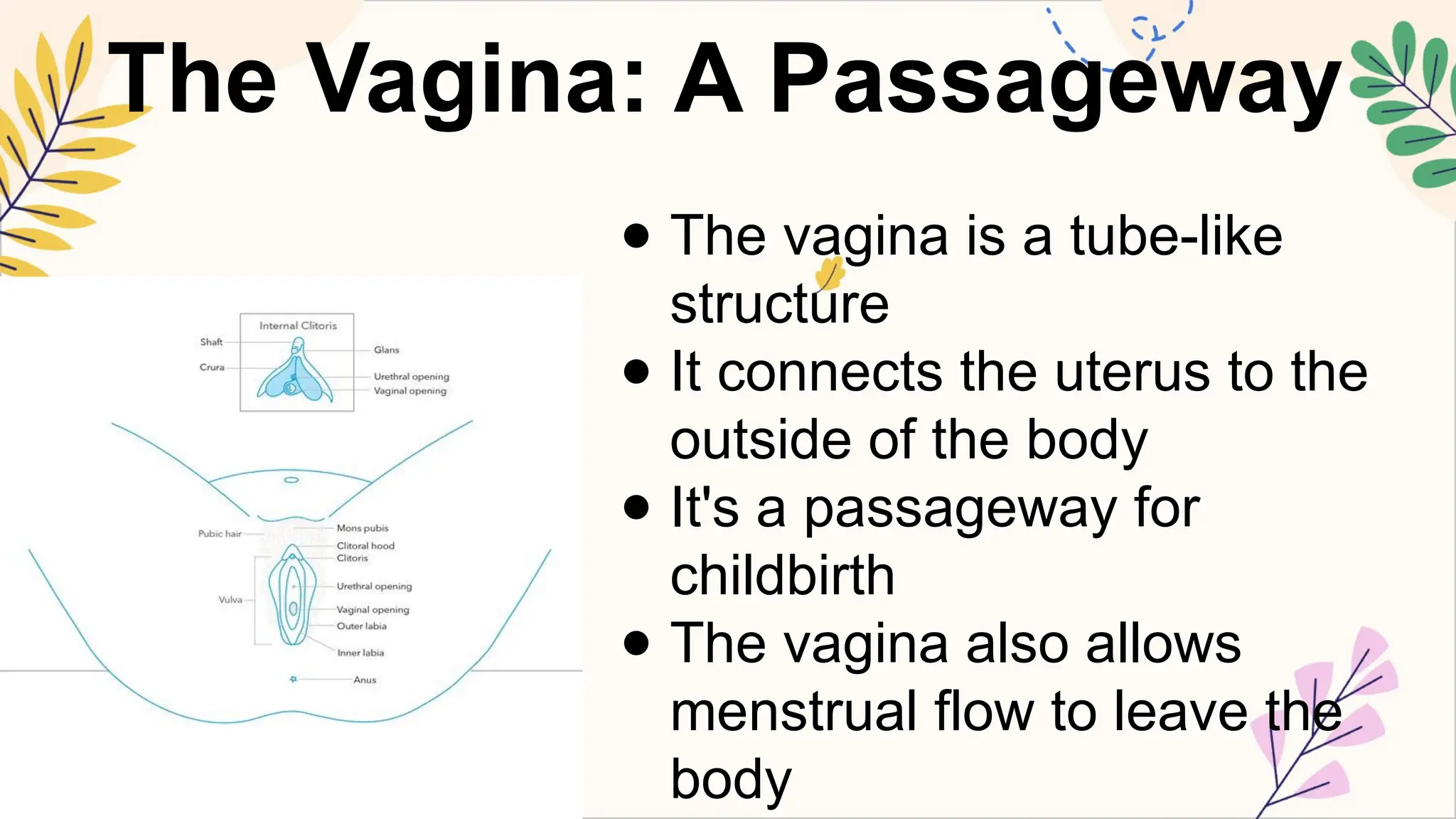 SCIENCE5 Q2 3 identify from pictures and labeled diagrams the parts of ...