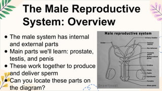 SCIENCE5 Q2 3 identify from pictures and labeled diagrams the parts of ...