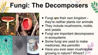 SCIENCE5 Q2 4C microorganisms including fungi and bacteria_.pptx