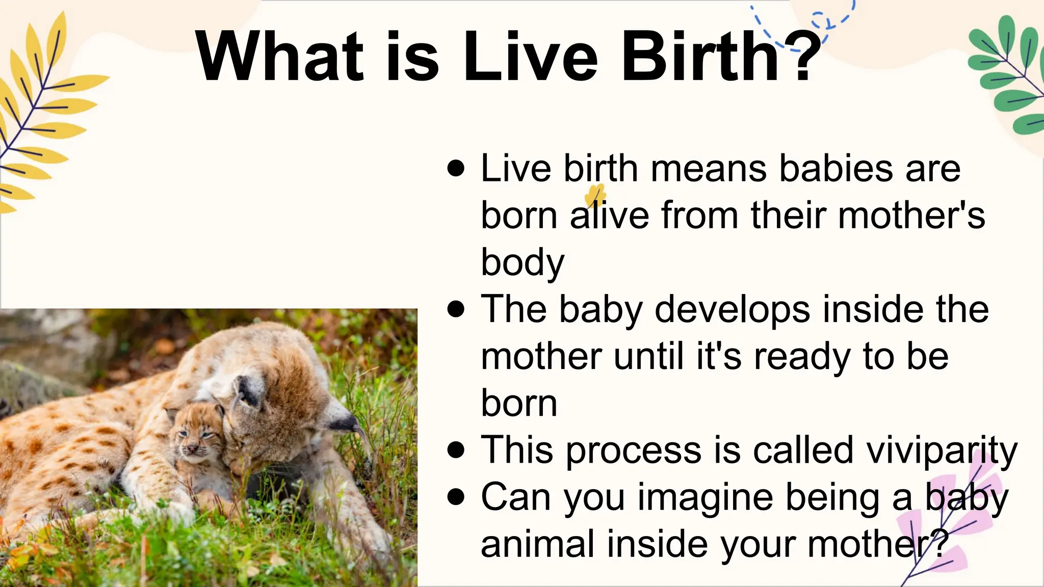 SCIENCE5 Q2 5 identify which groups of animals reproduce by giving ...