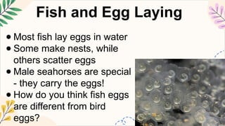 SCIENCE5 Q2 5 identify which groups of animals reproduce by giving ...