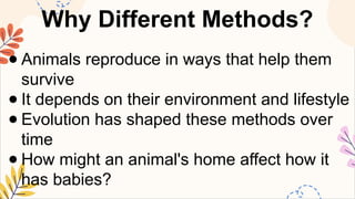 SCIENCE5 Q2 5 identify which groups of animals reproduce by giving ...