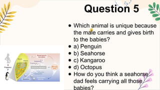 SCIENCE5 Q2 5 identify which groups of animals reproduce by giving ...