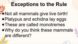 SCIENCE5 Q2 5 identify which groups of animals reproduce by giving ...