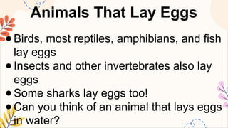 SCIENCE5 Q2 5 identify which groups of animals reproduce by giving ...