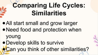 SCIENCE5 Q2 6 compare the life cycles of mammals from birth to ...