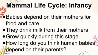 SCIENCE5 Q2 6 compare the life cycles of mammals from birth to ...