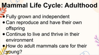 SCIENCE5 Q2 6 compare the life cycles of mammals from birth to ...