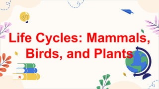 SCIENCE5 Q2 6 compare the life cycles of mammals from birth to ...