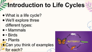 SCIENCE5 Q2 6 compare the life cycles of mammals from birth to ...