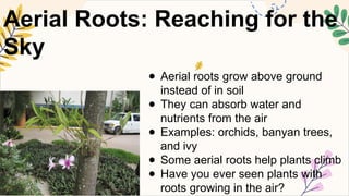 SCIENCE5 Q2 7 describe the purpose of specialized structures in plants ...